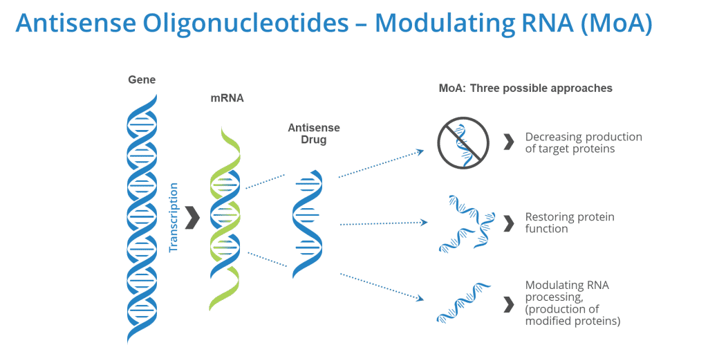 About Antisense Oligonucleotides (ASOs) | splisense.com