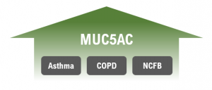 About Muco – Obstructive Pulmonary Diseases | splisense.com